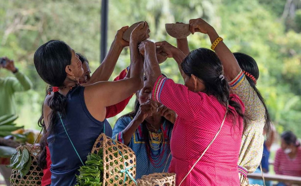 The Story of Guayusa — Applied Food Sciences, Inc.