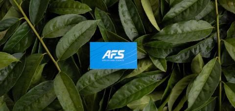 Applied Food Sciences, Inc. — Innovative, Functional Ingredients